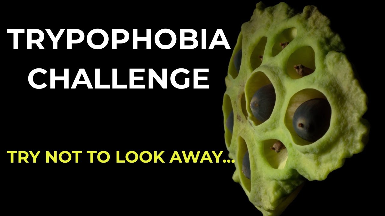 TRYPOPHOBIA CHALLENGE: Can You Watch This Entire Video? - YouTube