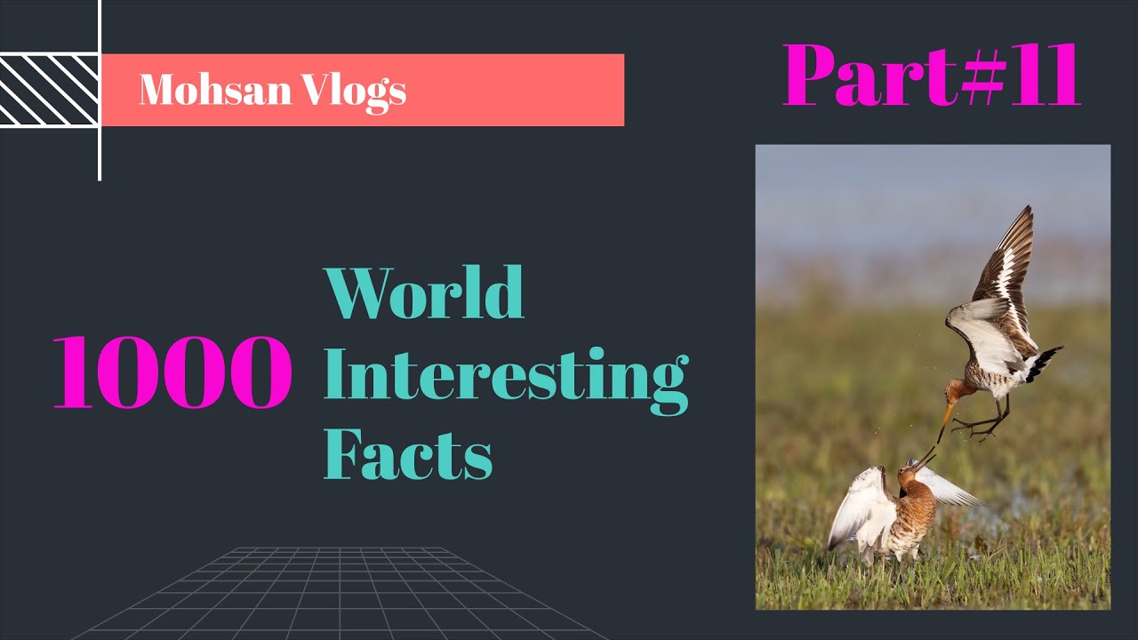 World Interesting Fact 101-110 The Book of Random Facts 1,000 Fun and ...