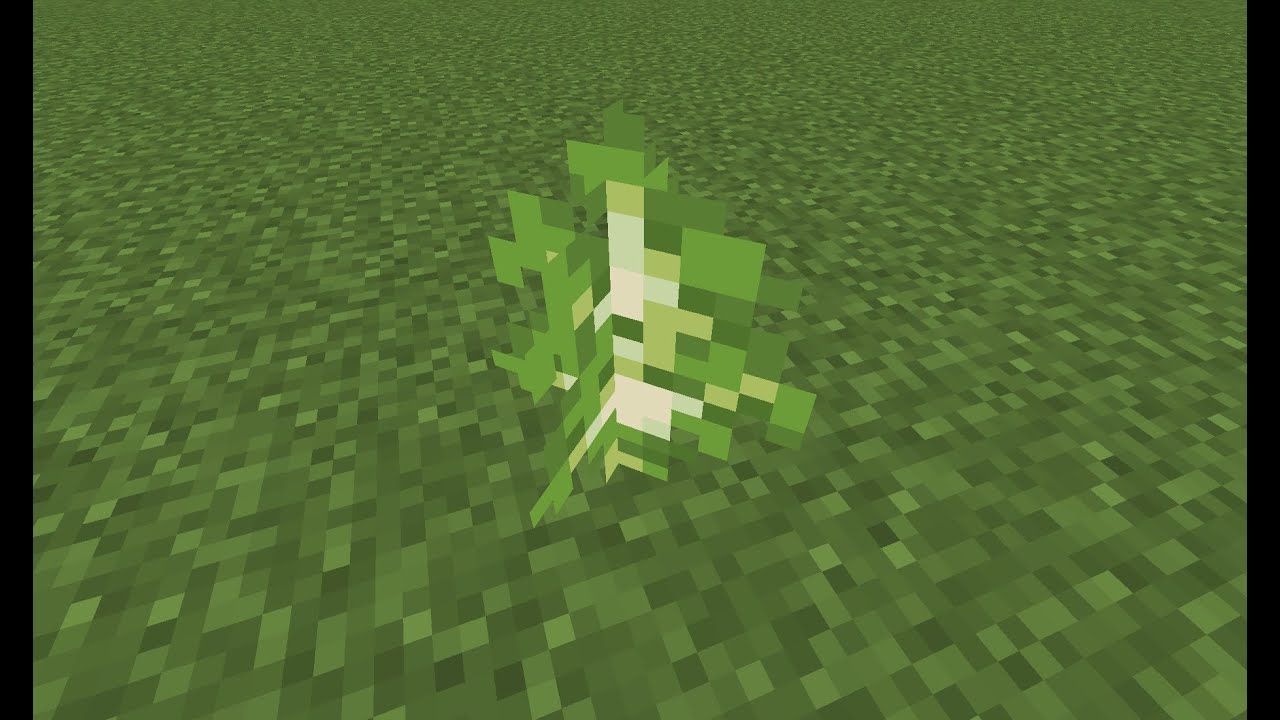 Minecraft: What's Inside a Birch Sapling? - YouTube