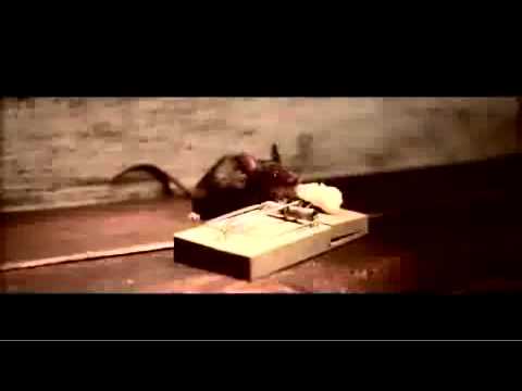 Nolan Cheese Commercial - YouTube