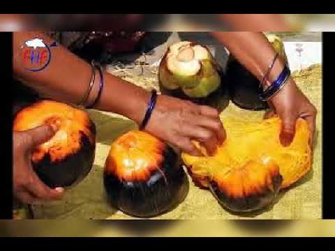 PANAI MARAM KNOW THE HEALTH BENEFITS OF PANAMPAZHAM #PHLF #PANAIMARAM 8 ...