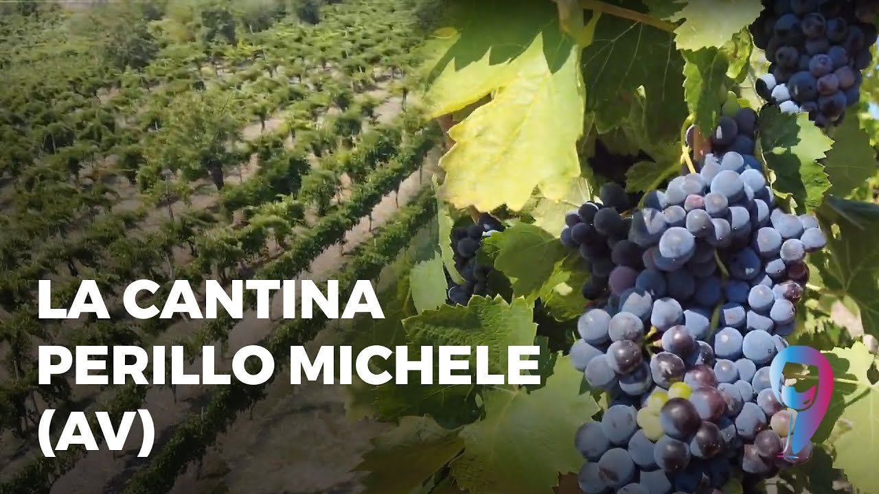 La Cantina Perillo Michele (AV) - YouTube