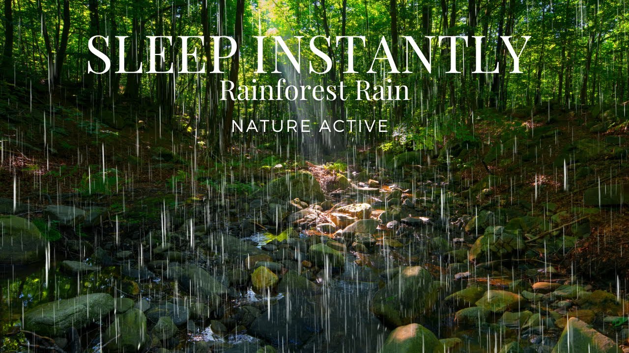 Sleep Instantly With 10 Minute Rainforest Heavy Rain Storm Falling on ...