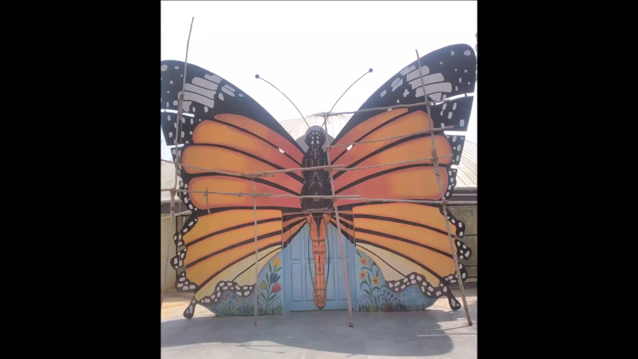 Butterfly Park Bannerghatta Biological Park Bangalore - YouTube