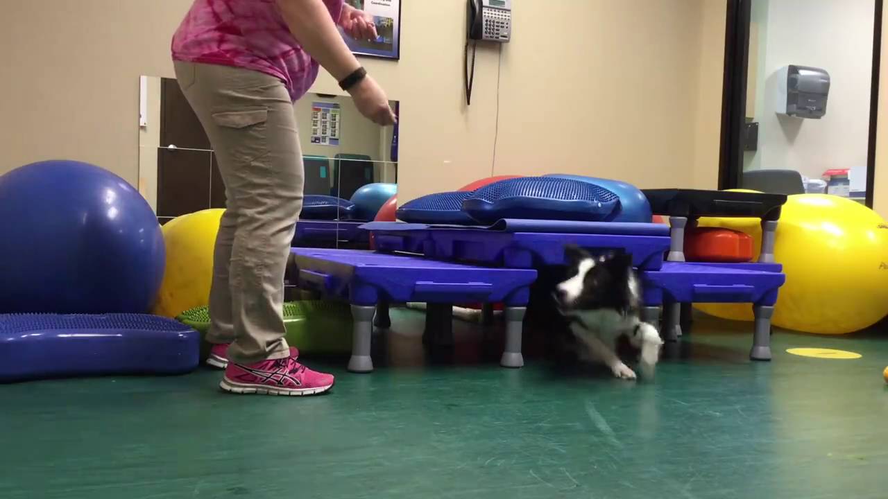 Climb over - Crawl under - YouTube