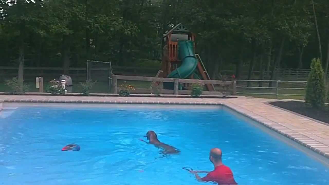 Flounder Swimming 2 - YouTube