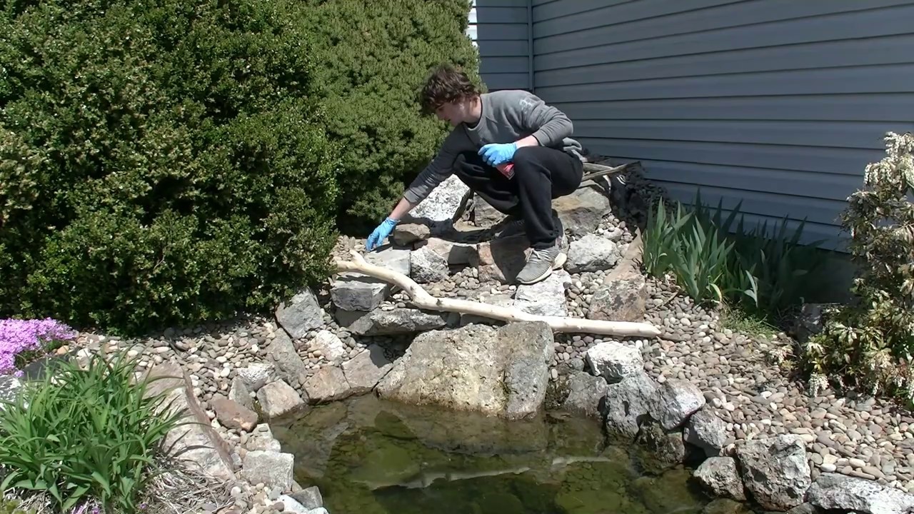 Finally Fixed My Backyard Pond! - YouTube
