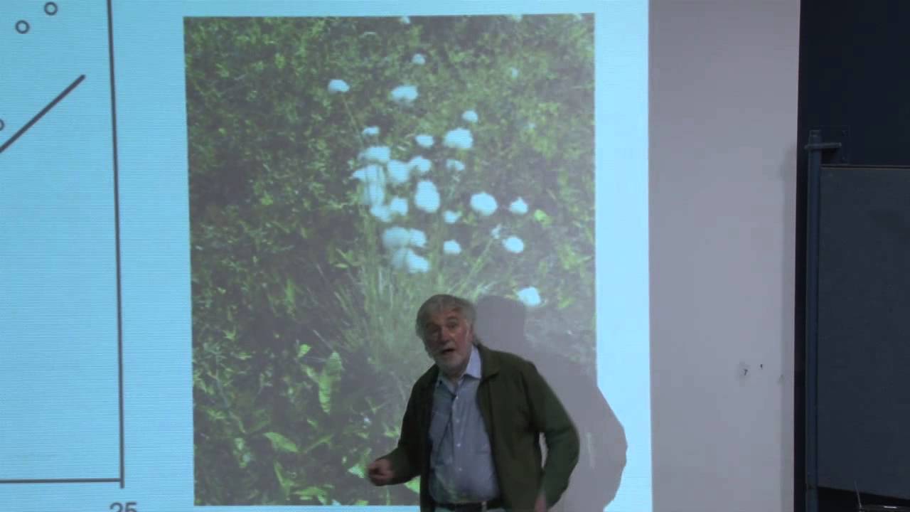 Carbon Cycling in Peatlands - Tim Moore, PhD, McGill University - YouTube