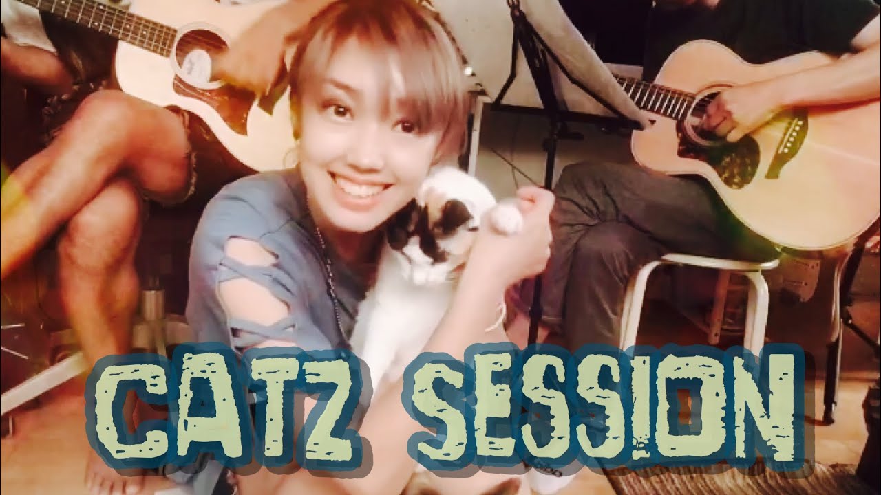 Catz🐾Session vol.2 - YouTube