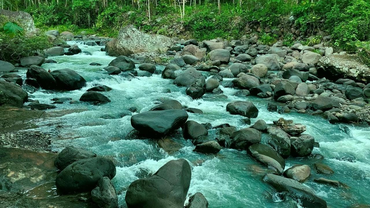 Nature’s Calm River Live | Flowing Water Sounds for Relaxation ...