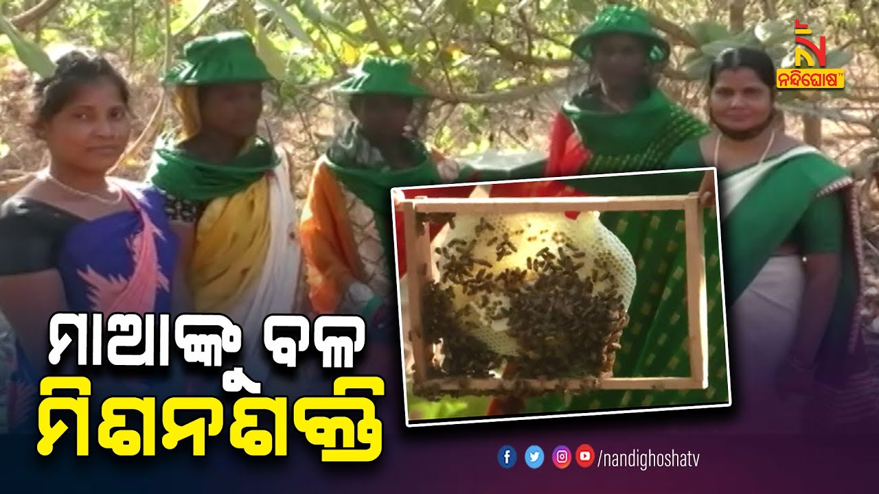SHG Group Of Jajpur Earning Good Income Through Honey Bee Farming ...