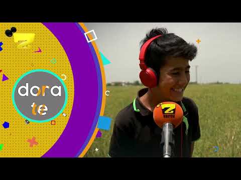 Zarok TV - Dora Te / 1 [2019-2020] - Beş 6