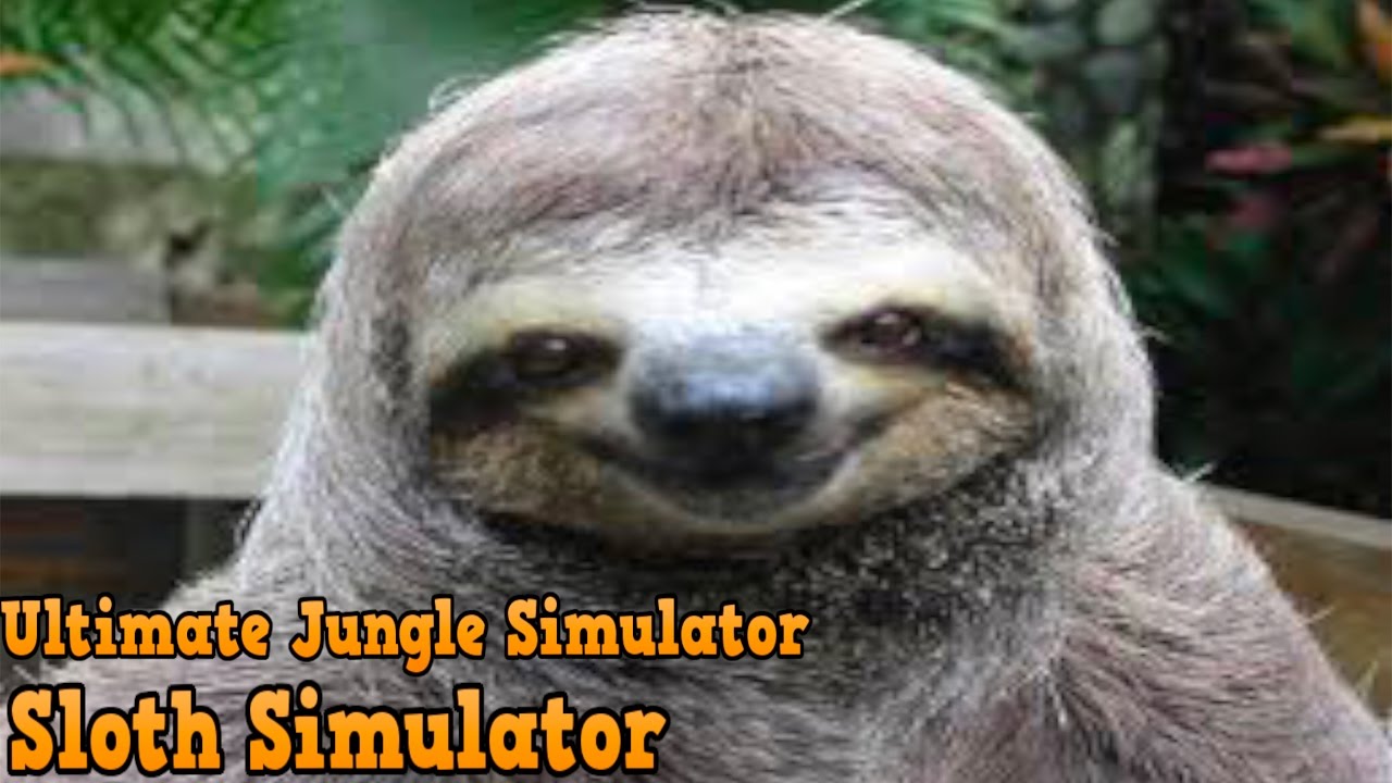 Sloth Simulator -Симулятор Ленивцев -Ultimate Jungle Simulator - iOS ...