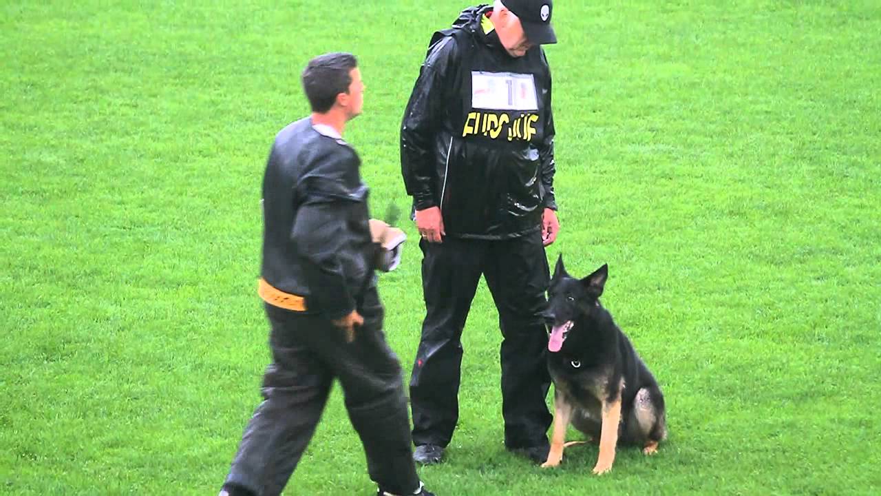 NIAK 2014 Peter v d Pol Ilko vom der Schulstrasse Protection - YouTube