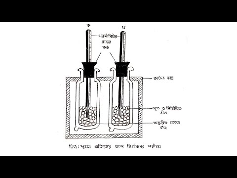 SSC 2021 Biology Practical Drawing || এসএসসি জীববিজ্ঞান ব্যবহারিক চিত্র ...