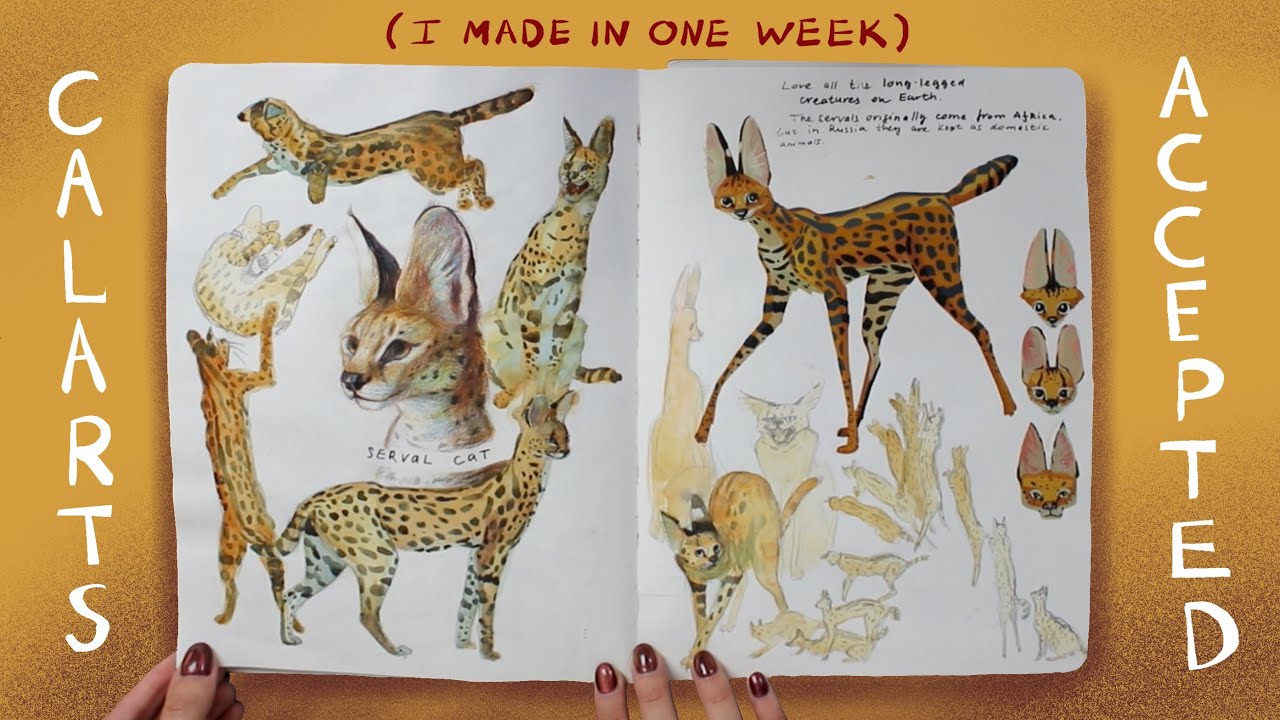 ACCEPTED CalArts sketchbook // I made in one week // 2020 // sketchbook ...