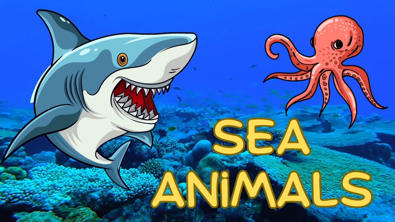 Sea animals nursery rhymes| ocean animals name| toddlers learning video ...