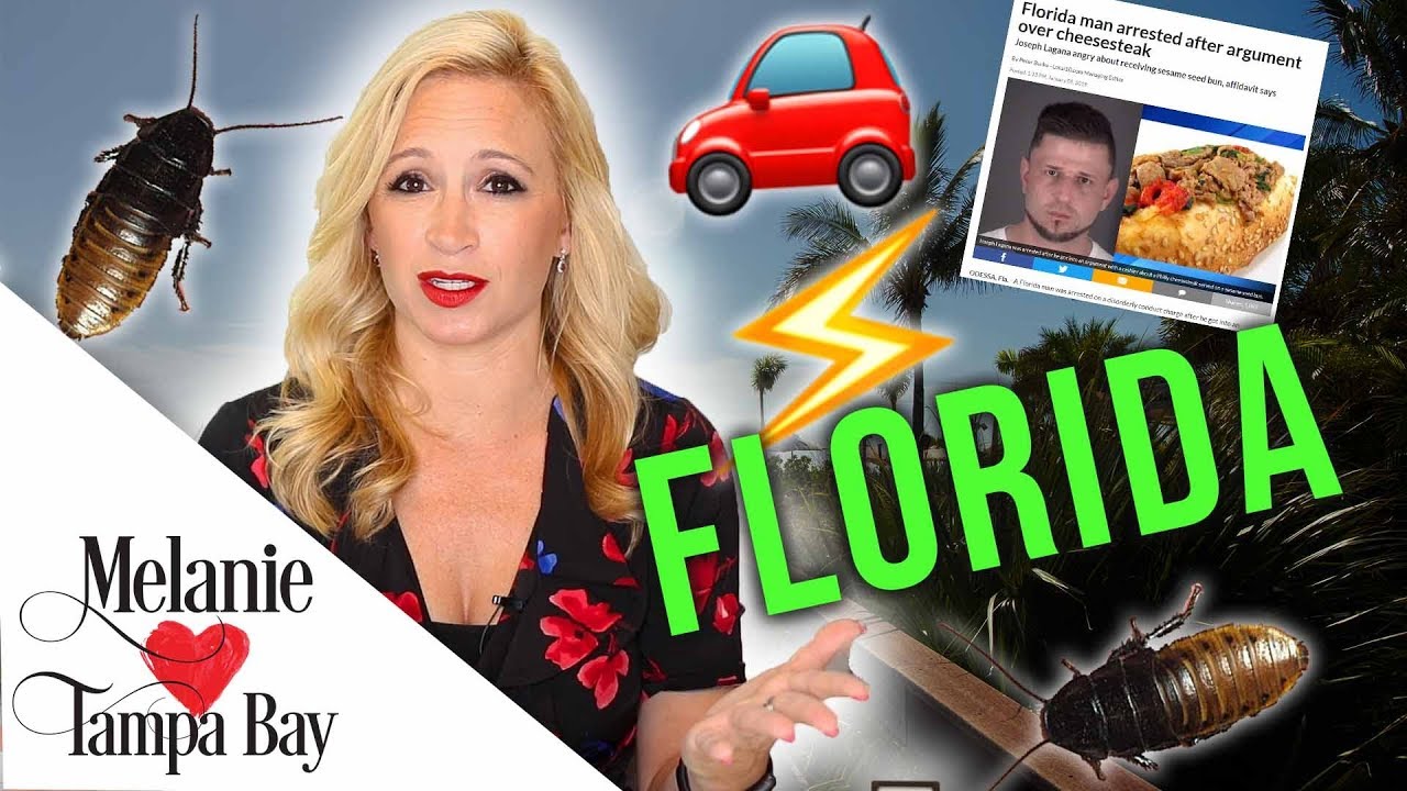 Worst Things About Living in Florida 🌴 Bugs, Severe Weather, Crazy News ...