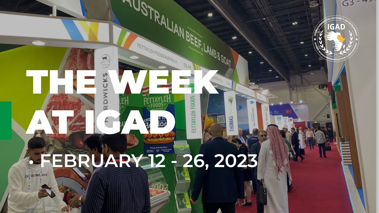 The Week at IGAD - A review of the week's events at IGAD, February 12 ...