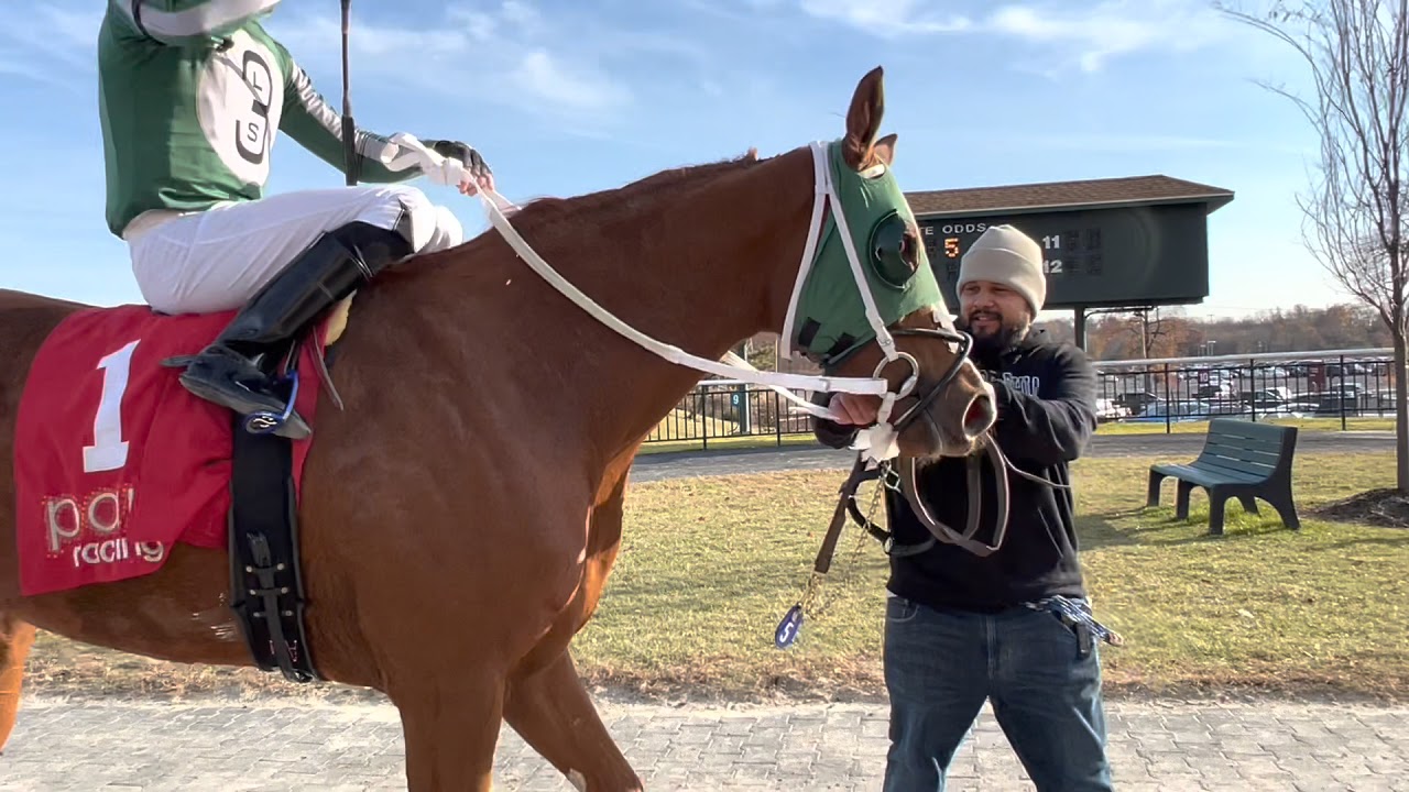 PA Bred Our Uptown Girl wins for trainer Ed Coletti, Jr. - YouTube