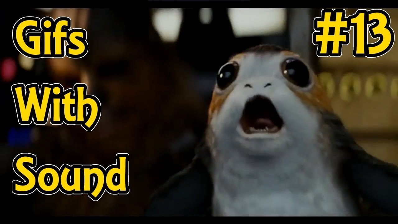 Gifs With Sound Compilation #13 *BEST 2017* | Mix Select - YouTube