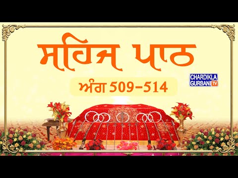 Sehaj Path Sri Guru Granth Sahib Ji Ang 509-514  | Bhai Sarwan Singh Ji | Chardikla Gurbani TV
