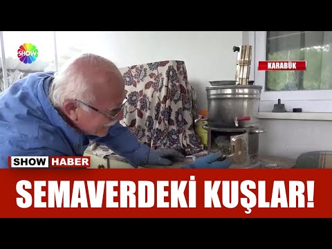 Kuşlar semavere yuva yaptı!