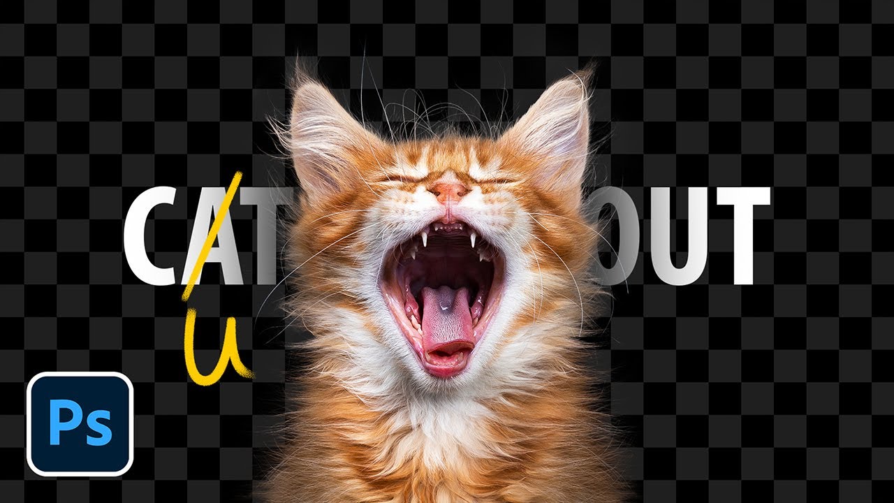 The BEST Way To Select Fur In Photoshop YouTube the-best-way-to-select-fur-in-photoshop-youtube