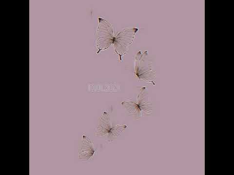 Sounds App 💕. Sevgiyə aid mənalı video 😍. Whatsapp üçün maraqlı #status #durum.