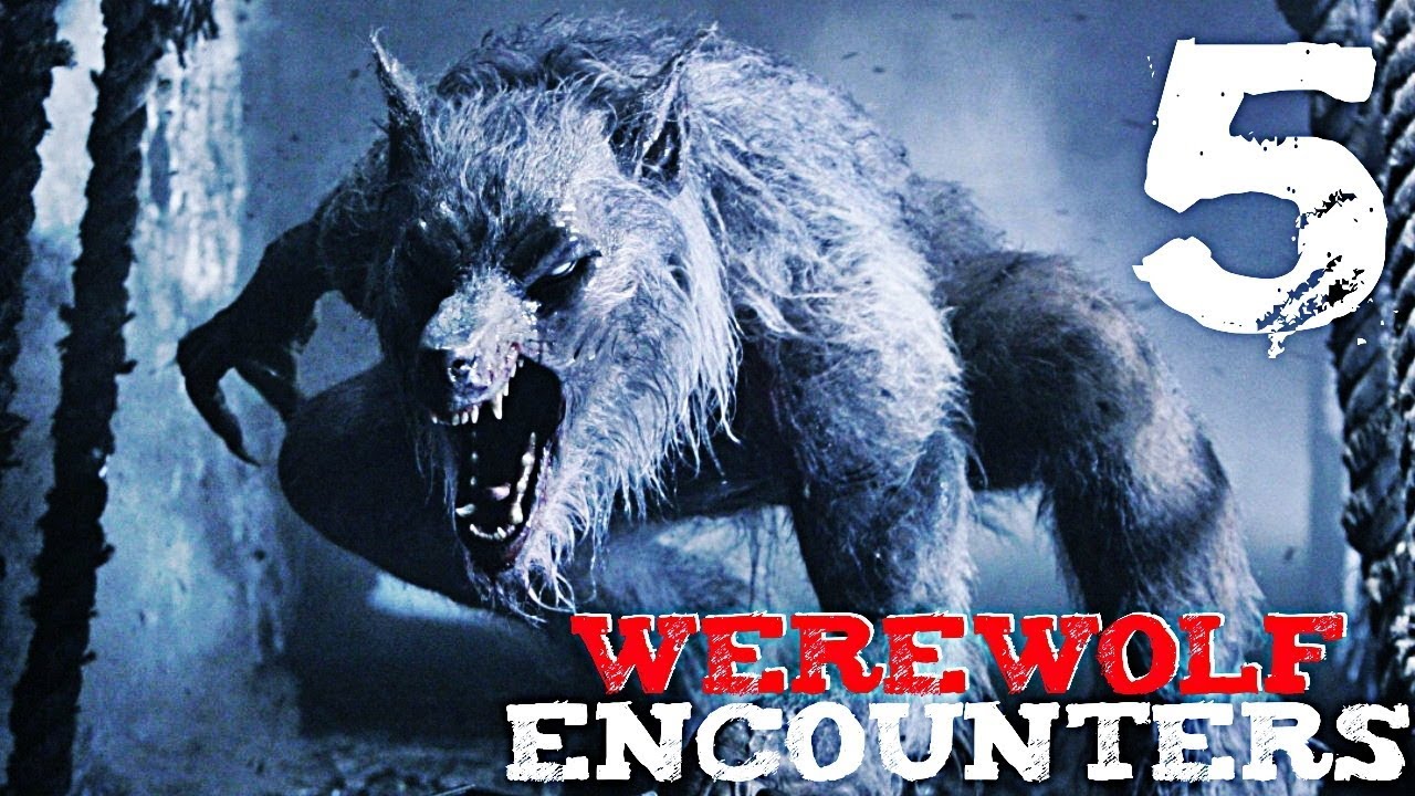 5 Werewolf Encounters - YouTube