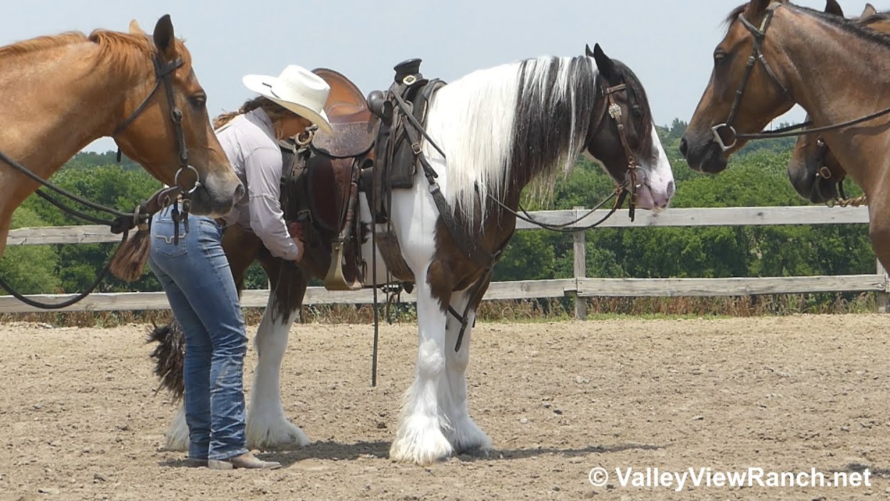Ozzy and Chief - pony party #1! - ValleyViewRanch.net - YouTube