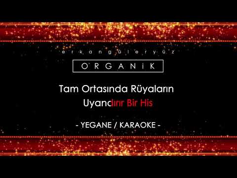 Erkan Güleryüz - Yegane (Amin)