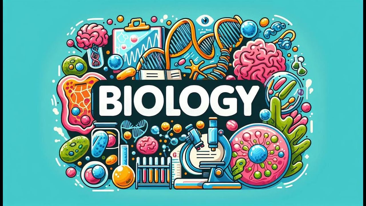 Chapter 5 - Part 1 - YouTube