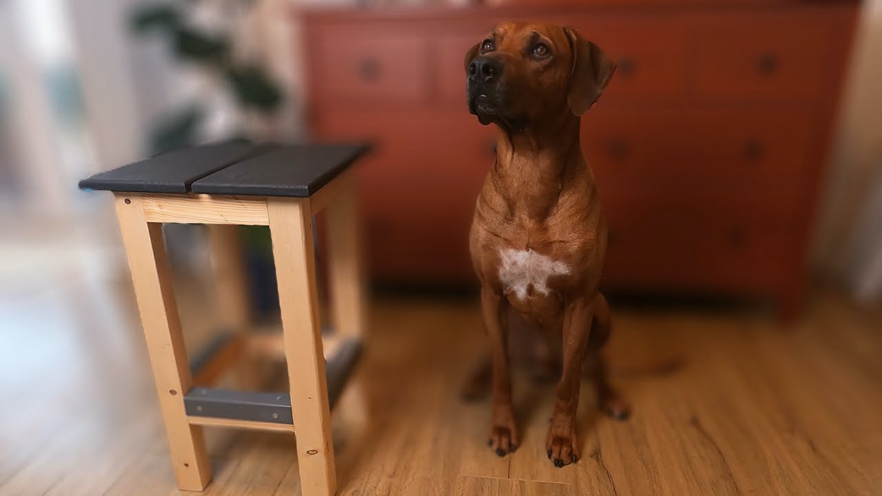 Barhocker aus Dachlatten selber machen/ BARSTOOL DIY - YouTube