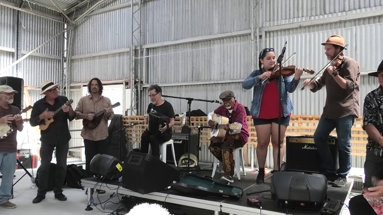 ShowGround Tunes Black cat Piddled - YouTube