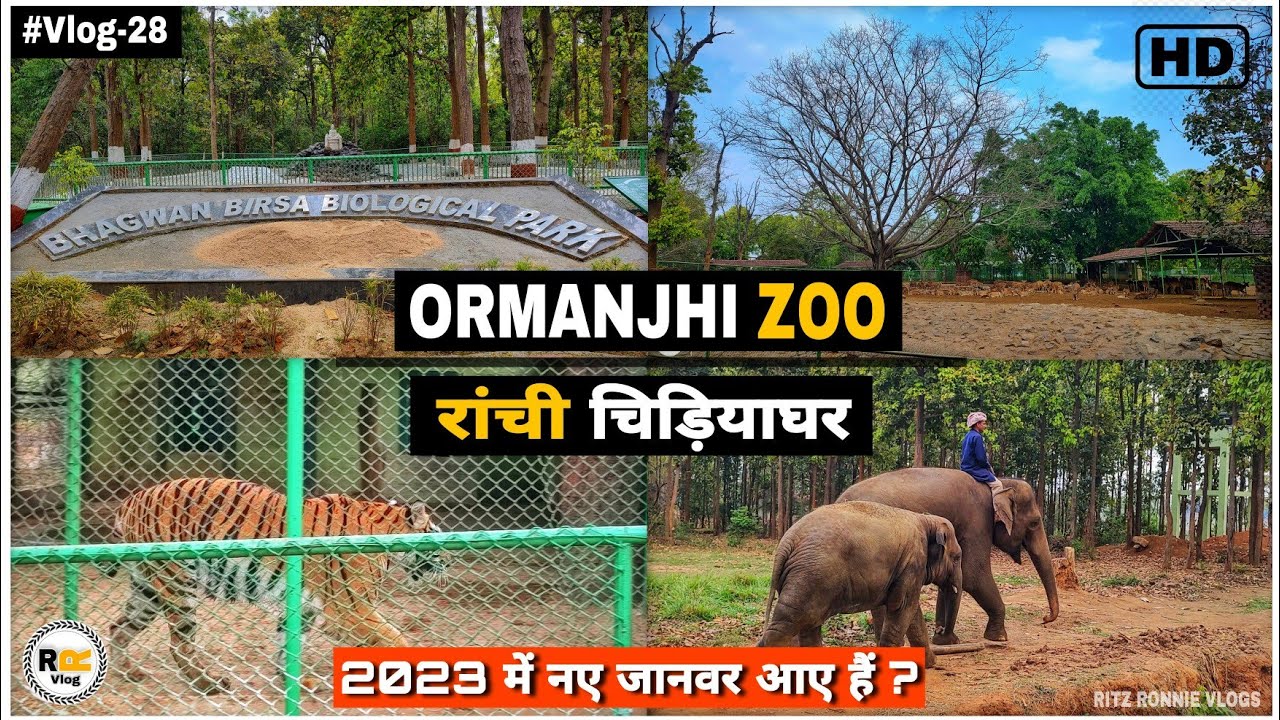 रांची चिड़ियाघर🦚| Ormanjhi Zoo | BIRSA MUNDA BIOLOGICAL PARK🦣 #ranchizoo #ritzronnievlogs - YouTube