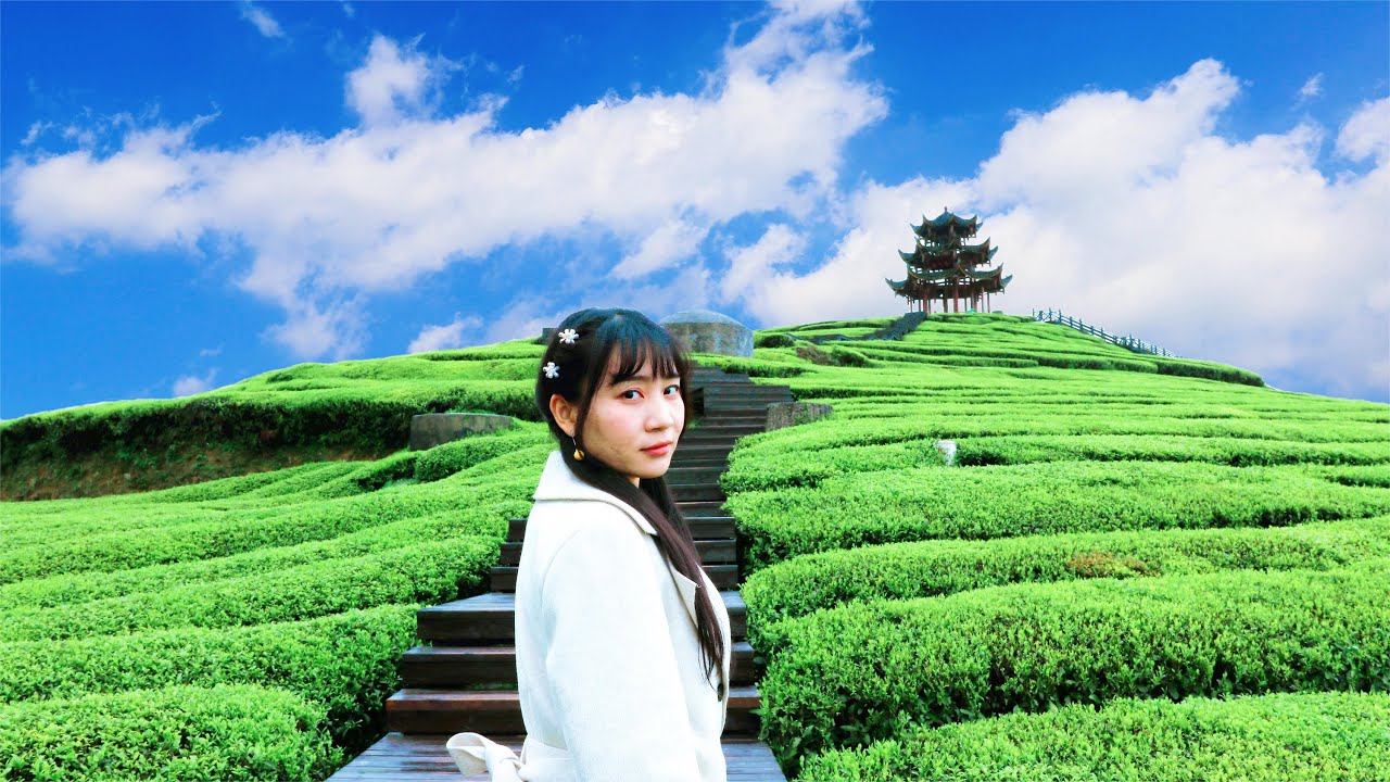 湖北恩施的绝美茶园，人少还免费，被乾隆皇帝选为贡茶 Tea Garden in Enshi - YouTube