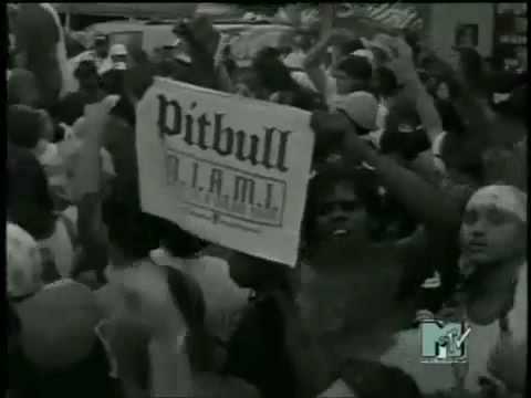 The Anthem Calabria Latino Remix Pitbull Ft. Lil Jhon Shydo.wmv - YouTube