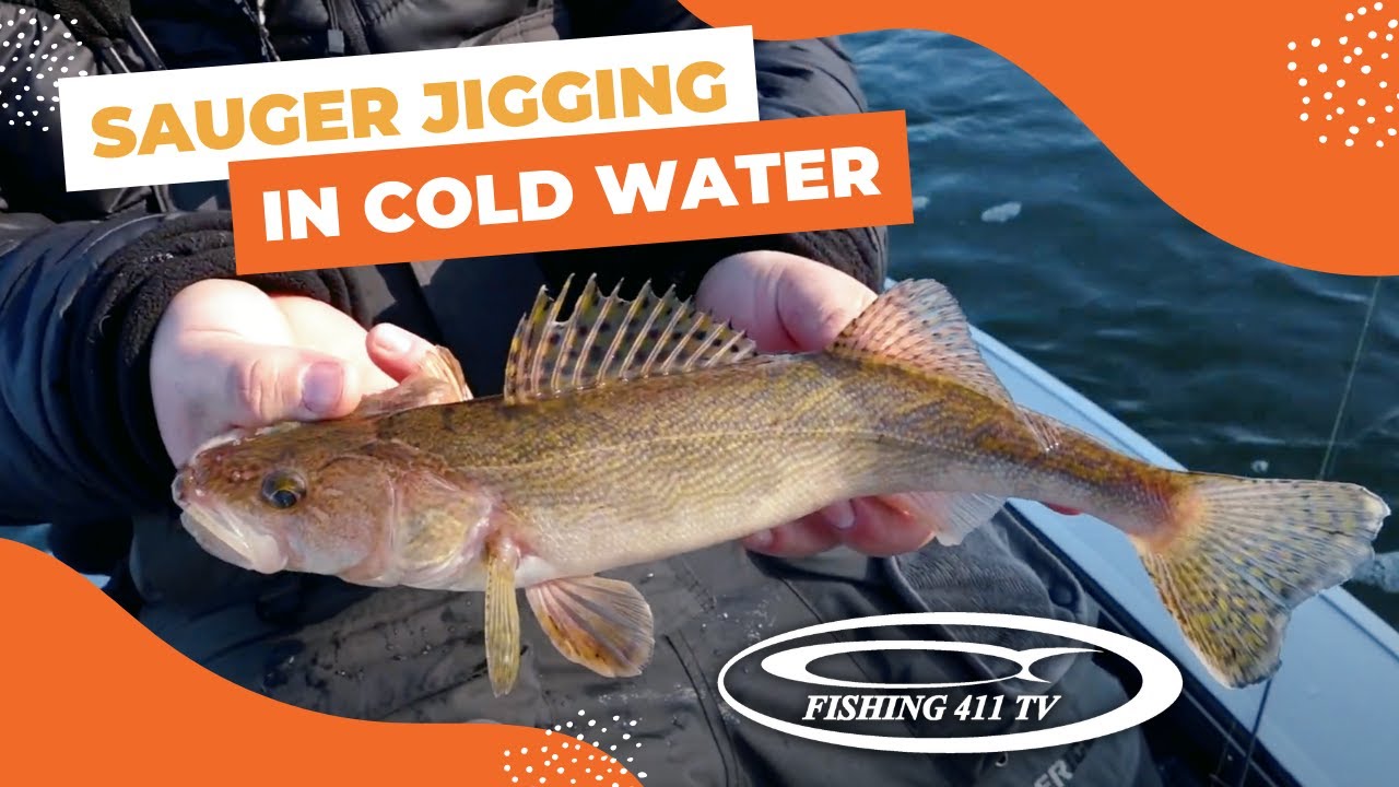 Sauger Jigging Techniques for Cold Water - YouTube
