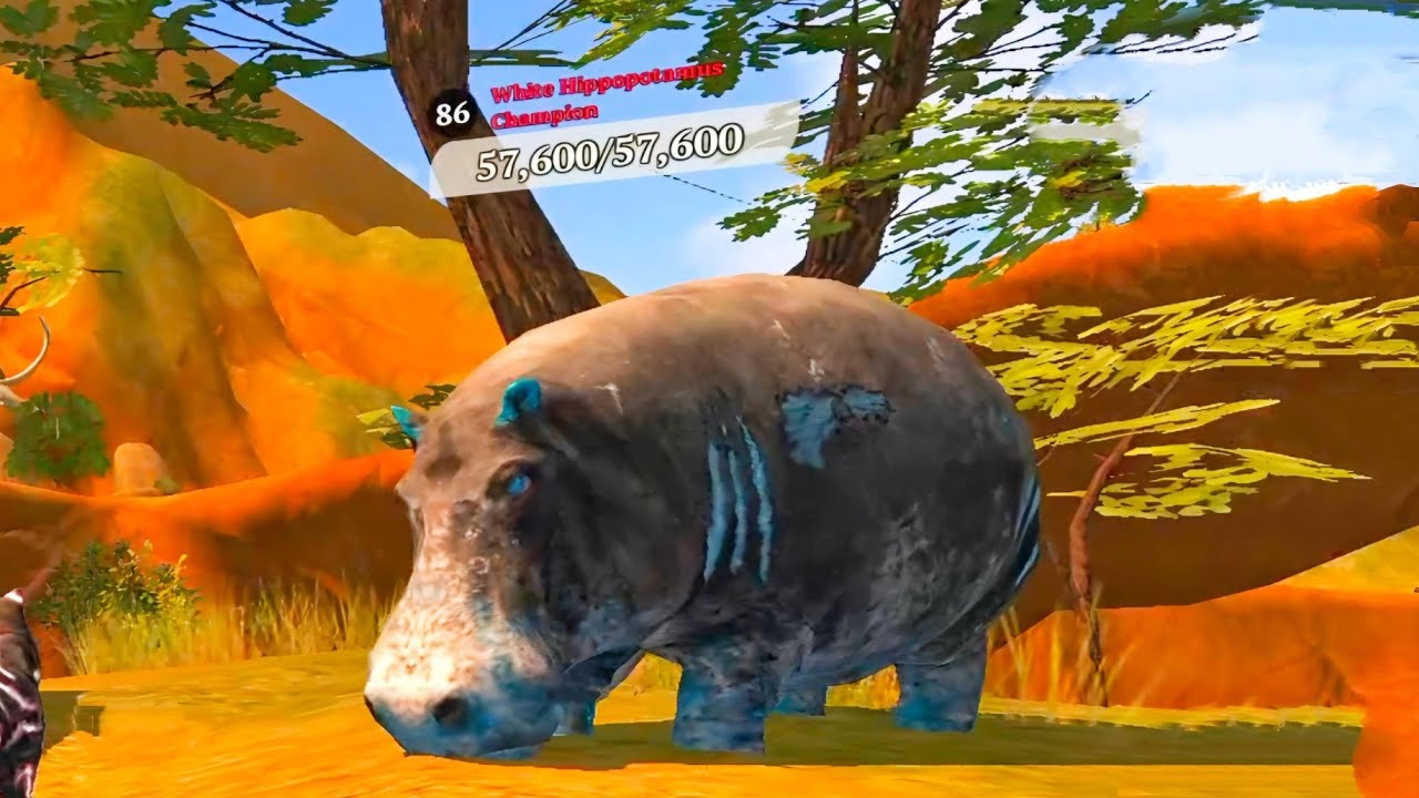 The Wolf - White Hippopotamus Champion In Featured Savannah Valley 🏆 ...