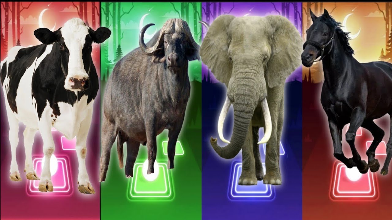 Funny Cows 🐄 VS Funny Buffalo 🐃 VS Funny Elephants 🐘 VS Funny Buls 🐄 Tiles Hop EDM Rush - YouTube