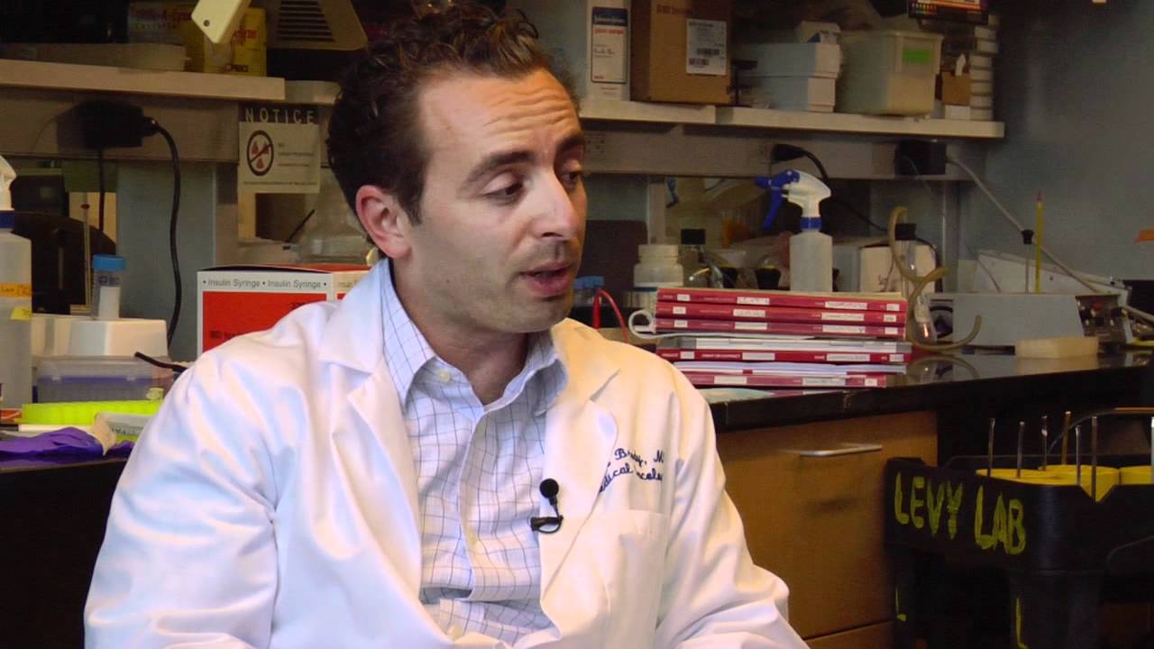 Elise meets Researcher Josh Brody! - YouTube