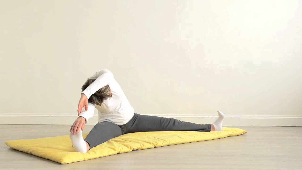 zonvanaandacht - gal-lever meridiaan stretchen - YouTube