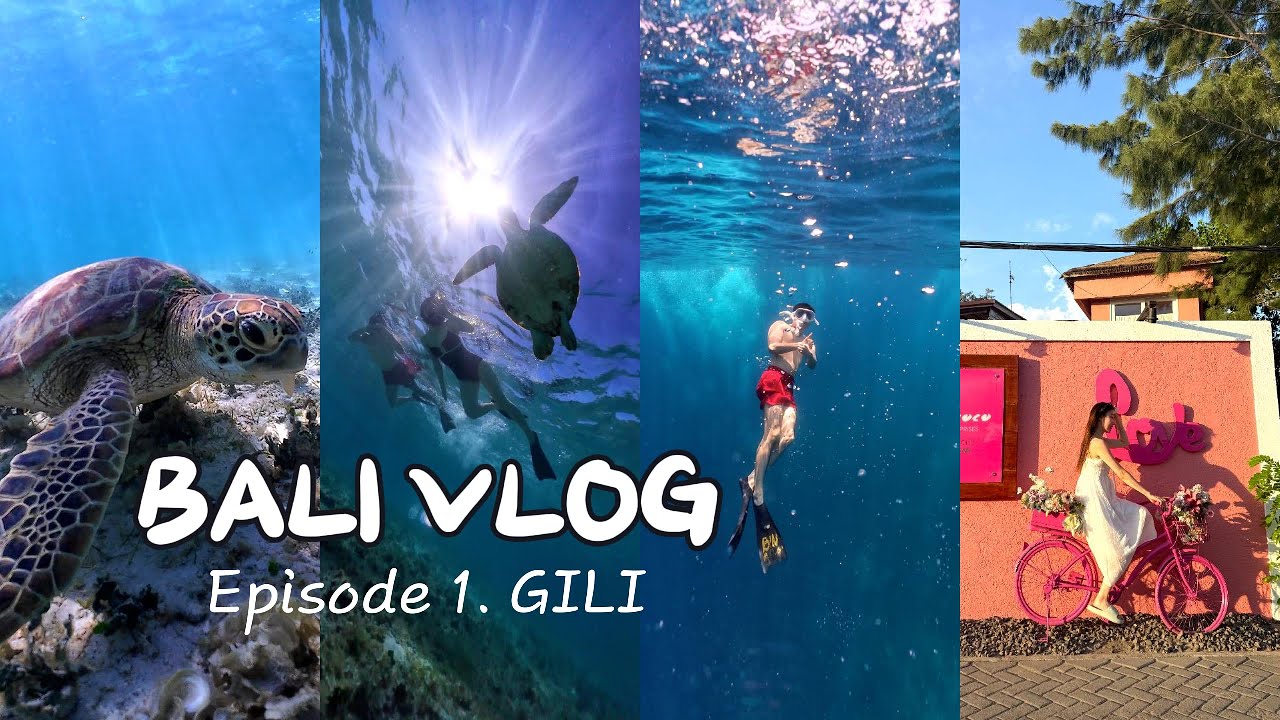 Bali trip🇮🇩 Ep.1 Gili Islands🏝️ Snorkeling🤿 Falling in love with ...