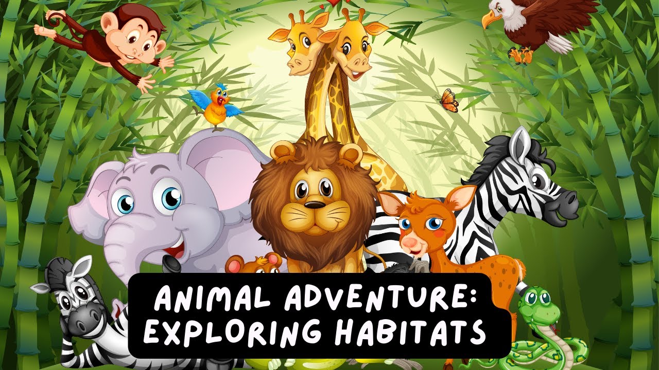 nimal Adventure: Exploring Habitats - YouTube