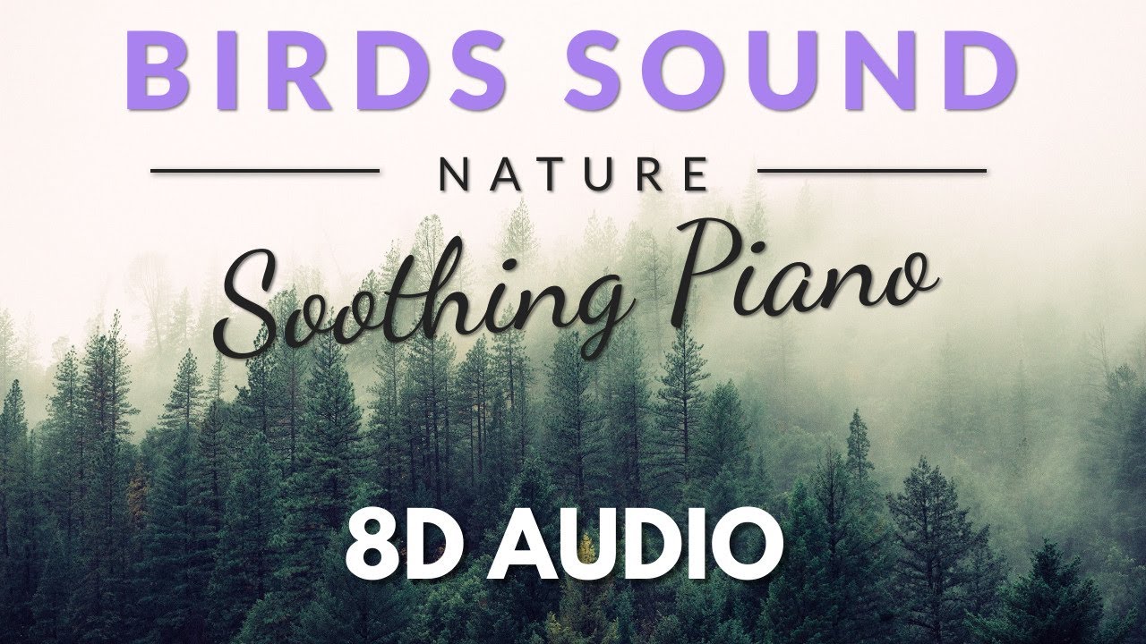 Birds sound & Soothing Piano - 8D Nature Sound - Peaceful and Relaxing ...