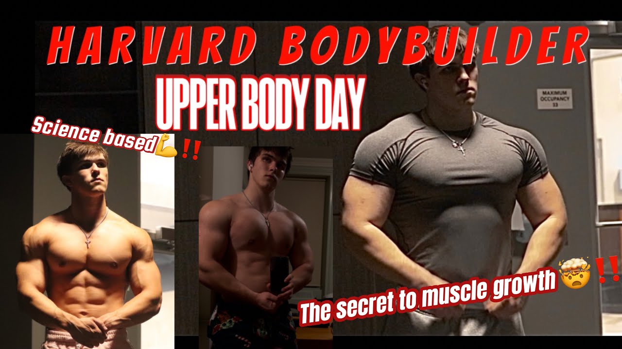 HARVARD bodybuilder ULTIMATE upper body day (hit this and they’ll think ...
