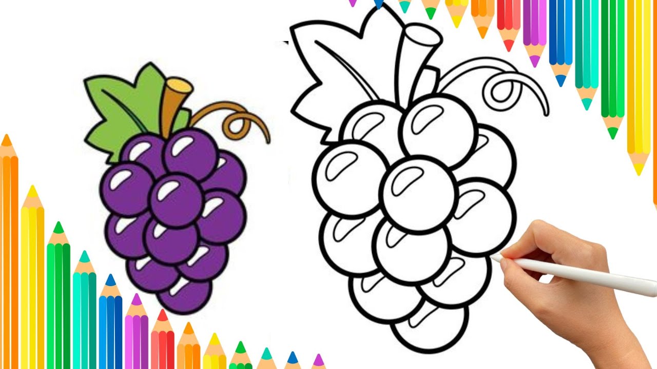 How to draw Grapefruit drawing and 🍎🍊🍑🍋🍉🍇🍐🍍🍌🍓🍅🥝🥑🥭 13 More Fruits ...