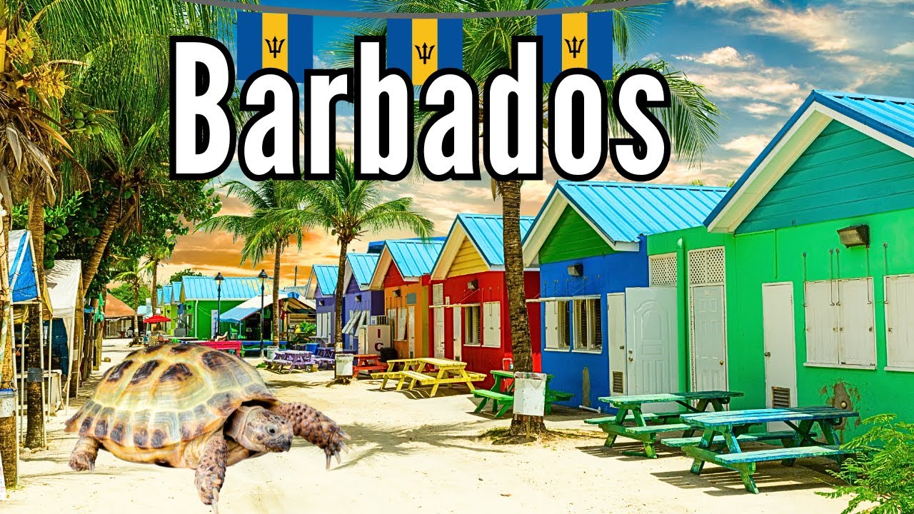 EXPLORE THE BEST OF BARBADOS || THIS IS LIFE IN BARBADOS - YouTube