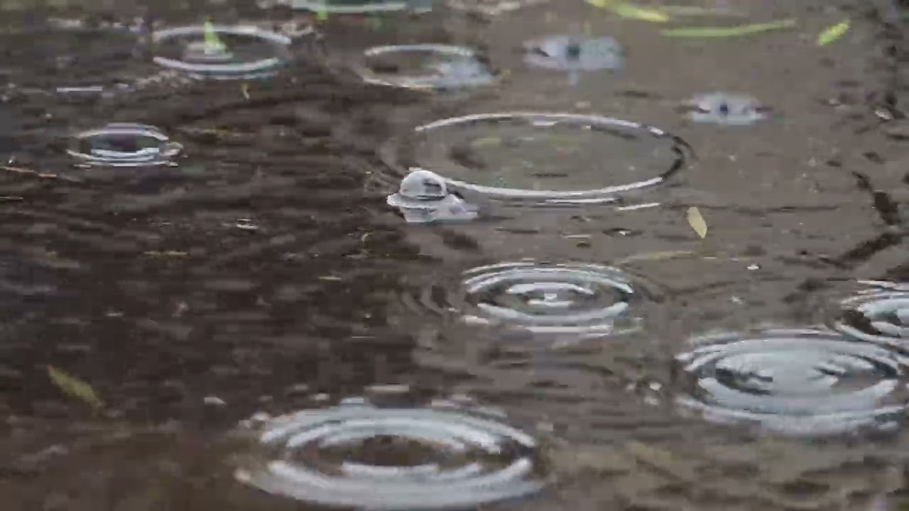 Rain falling in a puddle, 50 mins long, rain sound, water sound - YouTube
